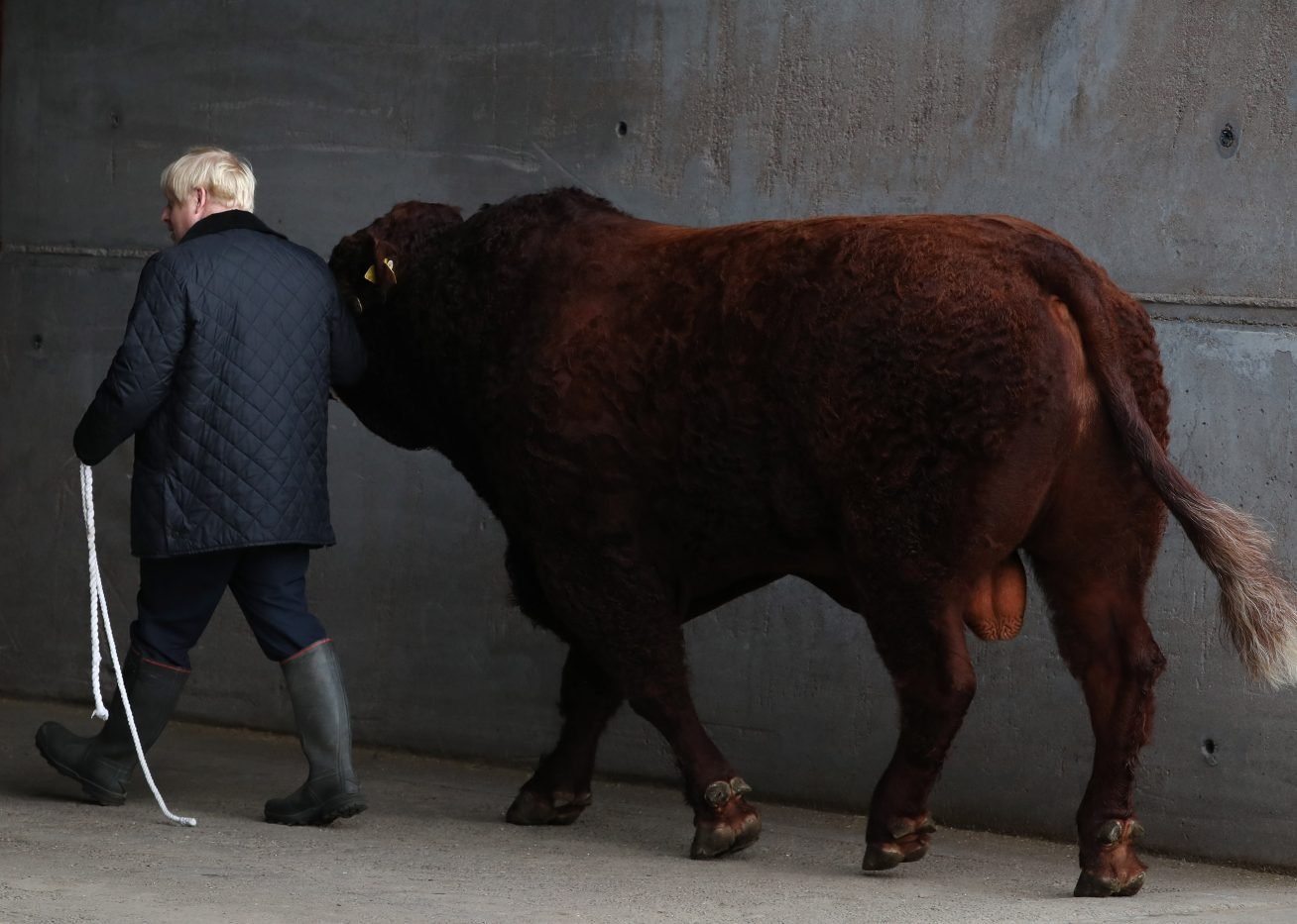 The Government Must Face Down Big Business and Put Nature First ...