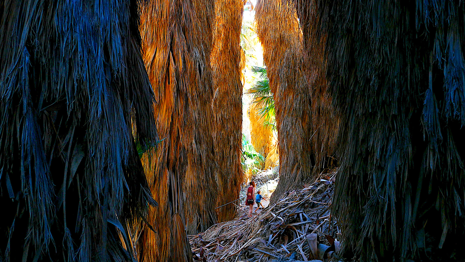 REVIEW: Michael Moore's Planet of the Humans - 'Heartbreaking Genius of ...