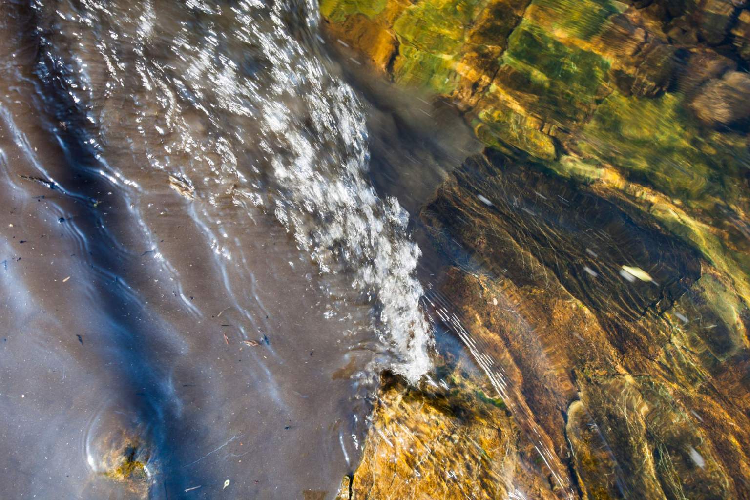 ‘I Contracted a Parasitic Disease After Swimming in My Local River ...