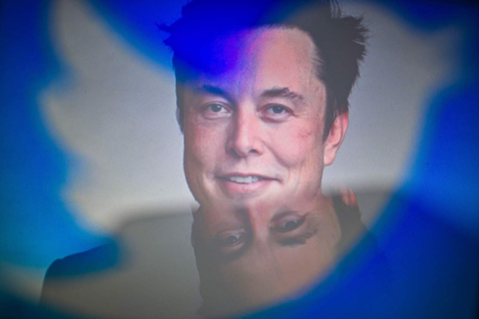 Elon Musk Takes Over Twitter – Is a Rise in Hate Speech and Abuse ...
