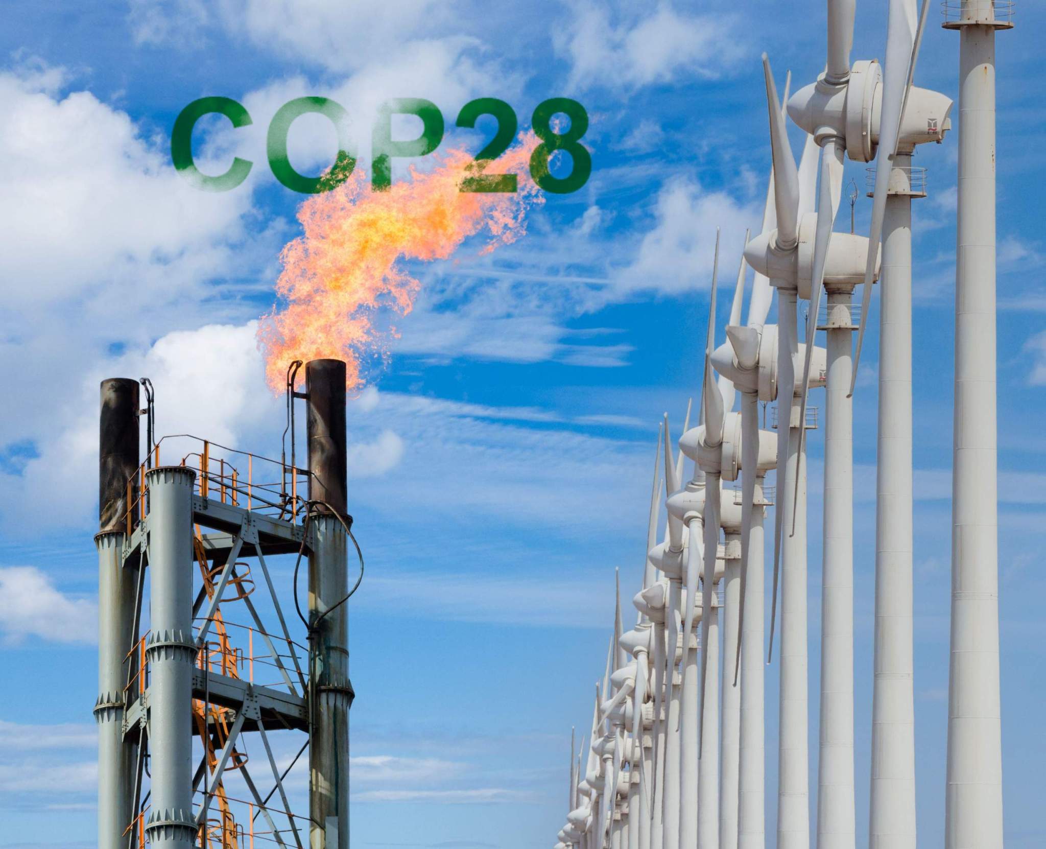 A Message to White Environmentalists: Demanding a Fossil Fuel Phase Out ...