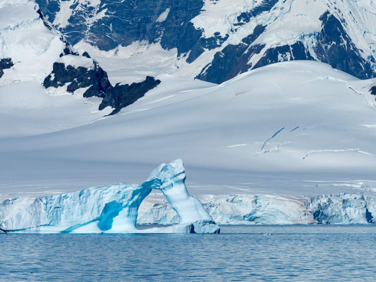 Fears Over Russian Oil Grab in Antarctica Might be 'Trolling' to ...