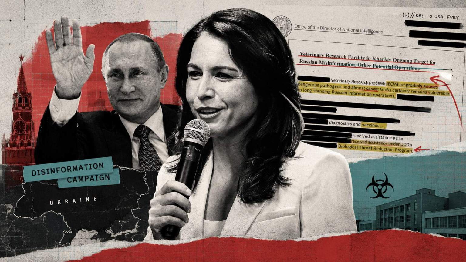 Tulsi Gabbard Revives Russian Disinformation Campaign About Ukraine ...